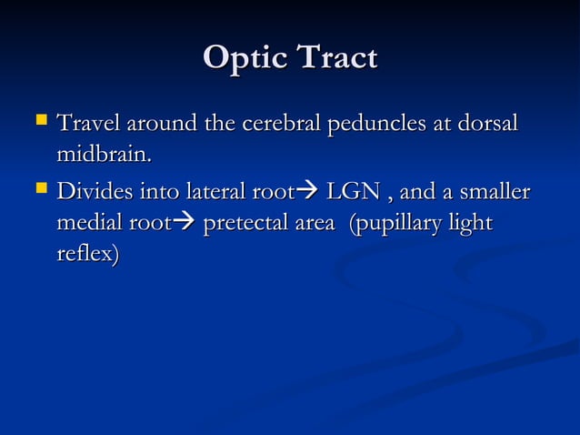 Anatomy and Lesions of Visual Pathways | PPT | Brain and Nervous System ...