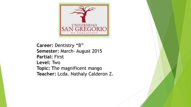 THE MAGNIFICENT MANGO | PPT