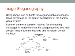 steganography | PPT