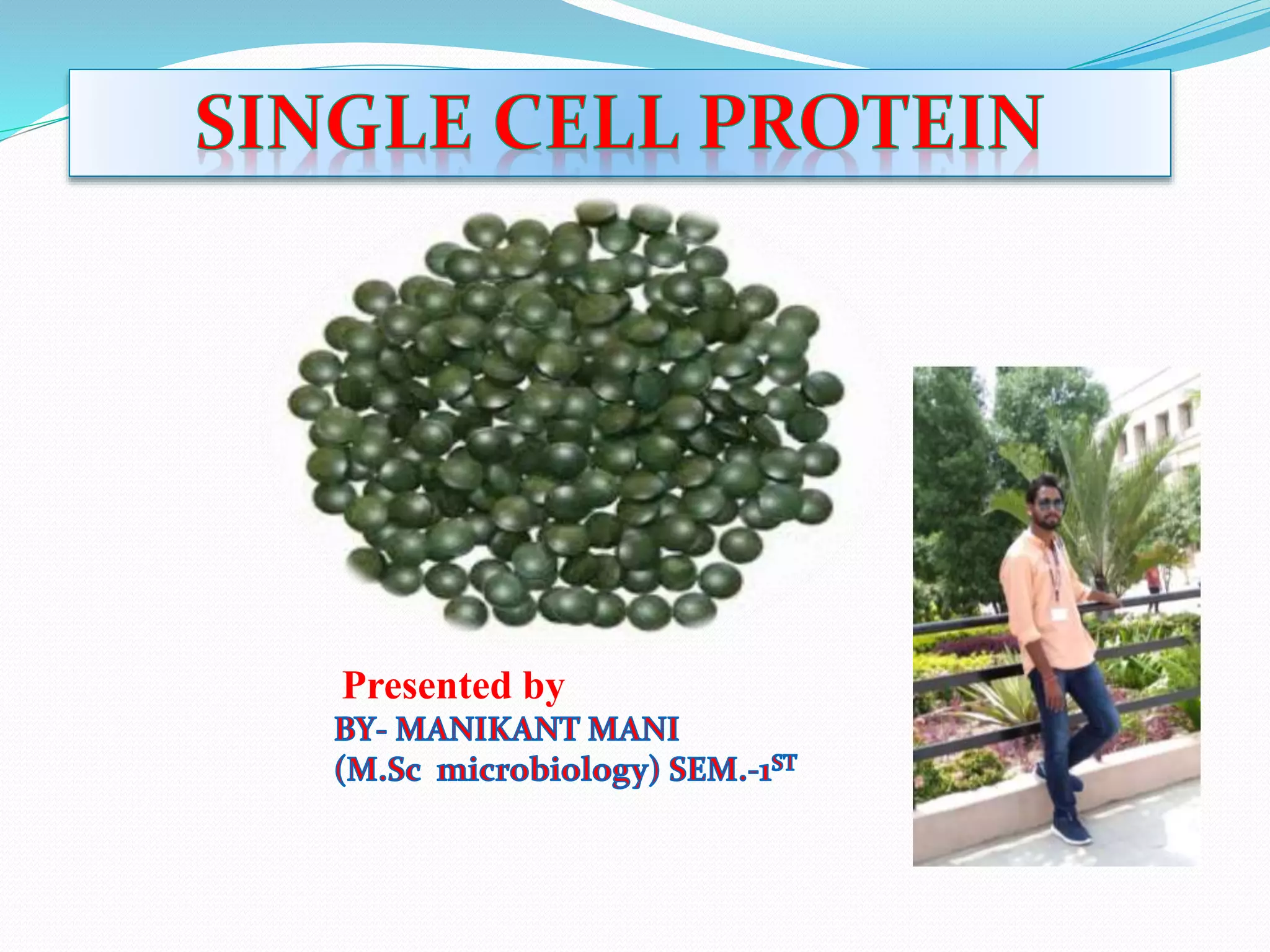 single cell proteins (SCP) | PPTX