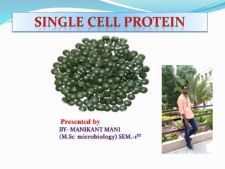 single cell proteins (SCP) | PPTX