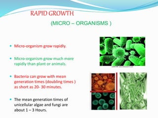 single cell proteins (SCP) | PPTX