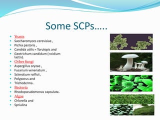 single cell proteins (SCP) | PPTX