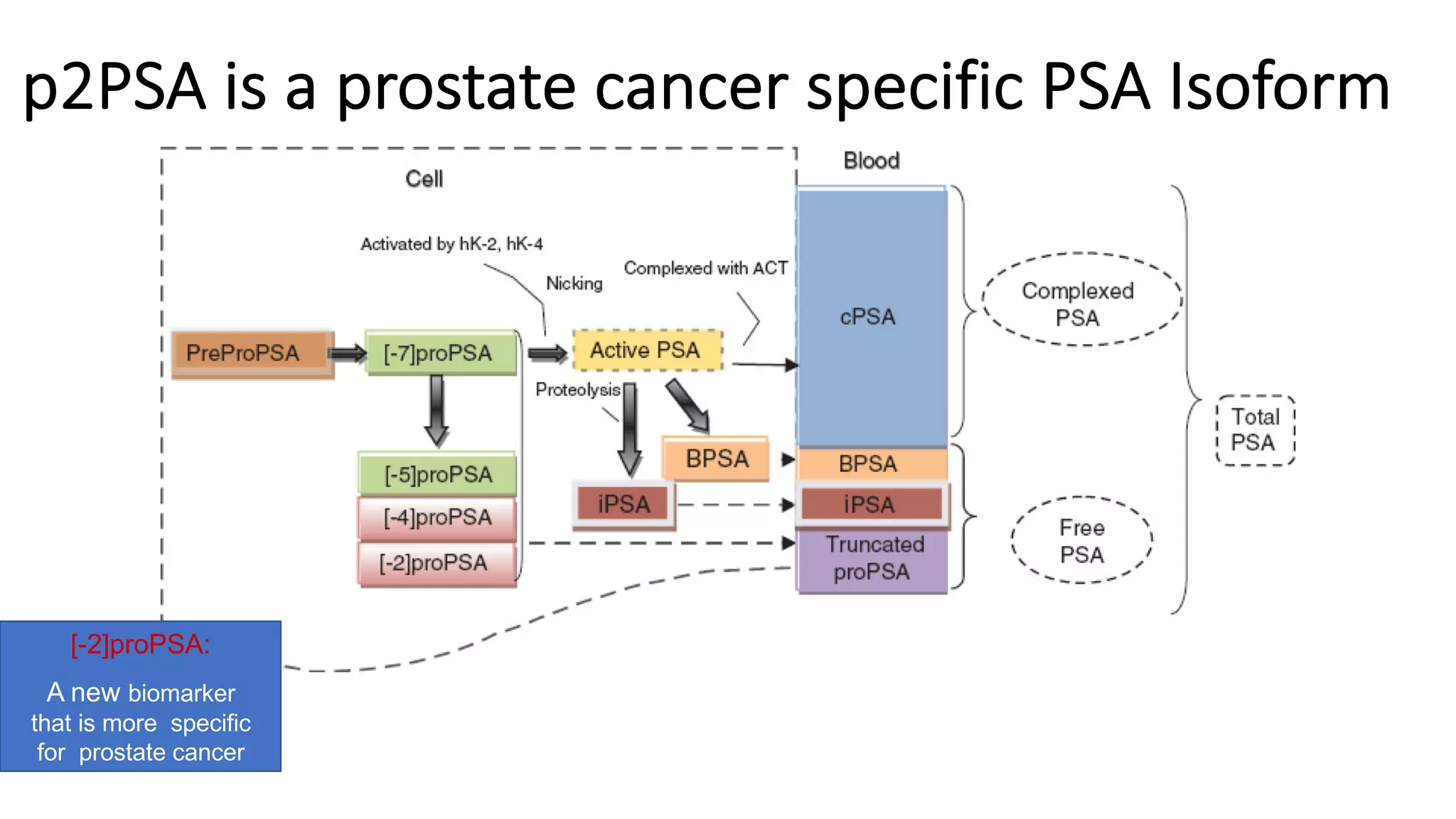 Role of Prostate Health Index in the changing landscape of prostate ...