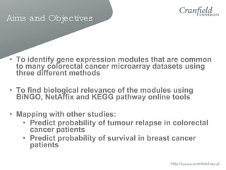 Msc Thesis - Presentation | PPT