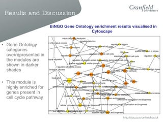 Msc Thesis - Presentation | PPT