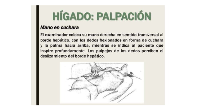 Maniobras Maniobras del bazo higado vesicula biliar actualizada