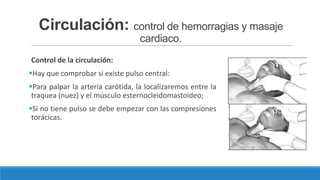 Maniobras De Reanimación Cardiopulmonar Pptx