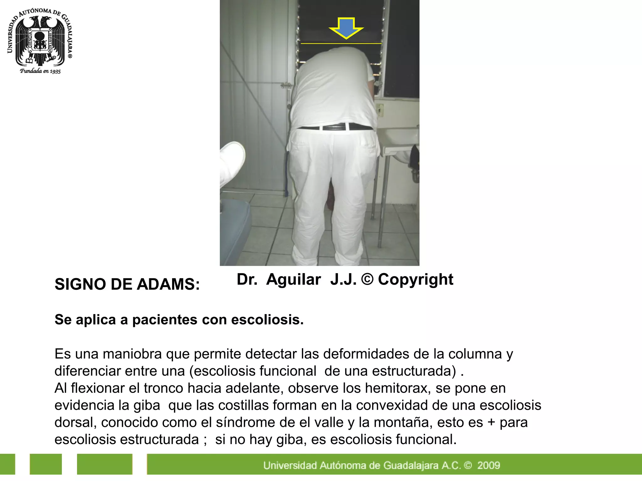 Maniobras de la Exploracion Fisica - UAG MX, Ortopedia y Traumatologia ...