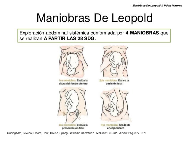 Maniobras De Leopold & Pelvis Materna