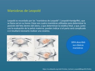 Maniobras_de_Leopold_Planos de Hodg.pptx