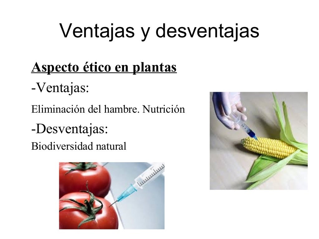 Manipulacion genetica