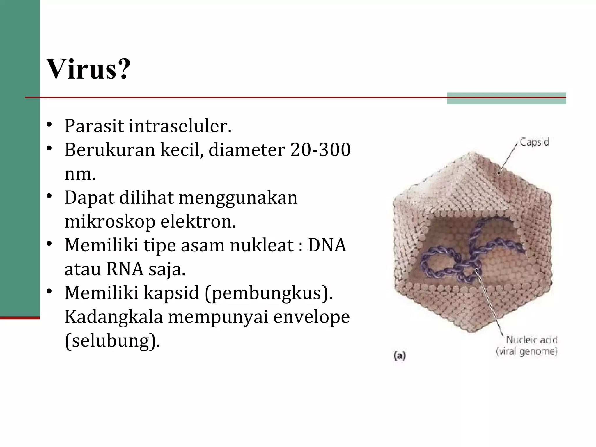 Manipulasi sel pada kultur | PPT
