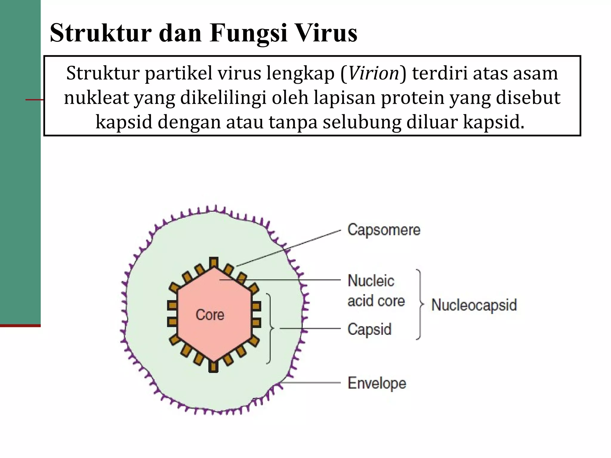 Manipulasi sel pada kultur | PPT