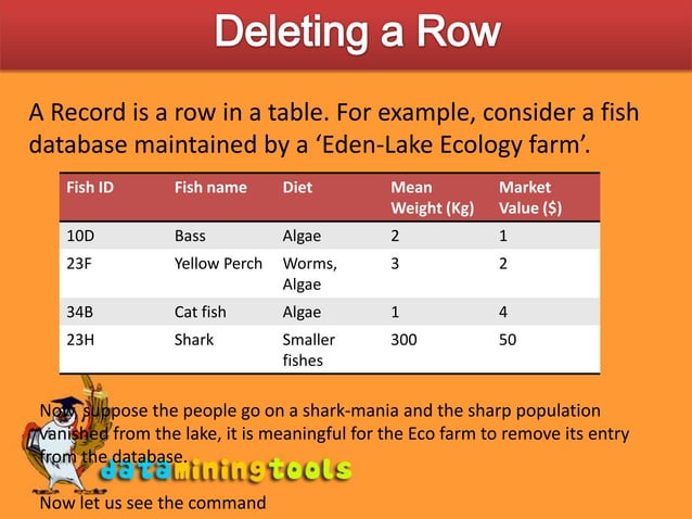 Ms Sqlserver Manipulating Database Ppt