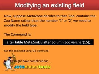 MS SQLSERVER:Manipulating Database | PPT
