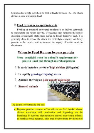 Manipulation of rumen | DOCX