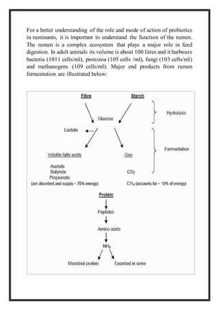 Manipulation of rumen | DOCX