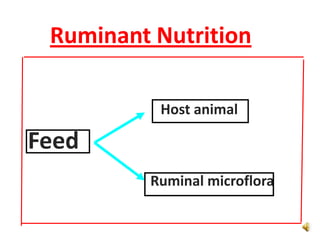 Manipulation of rumen fermentation by use of microbial feed additivesmicrobial | PPTX