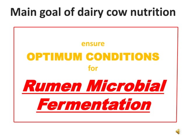 Manipulation of rumen fermentation by use of microbial feed ...