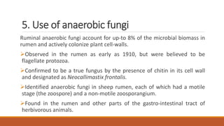 Manipulation of rumen function to augment livestock productivity | PPT