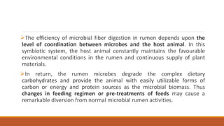 Manipulation of rumen function to augment livestock productivity | PPT