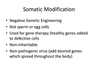 Human Genetic Manipulation | PPTX | Genetics | Science