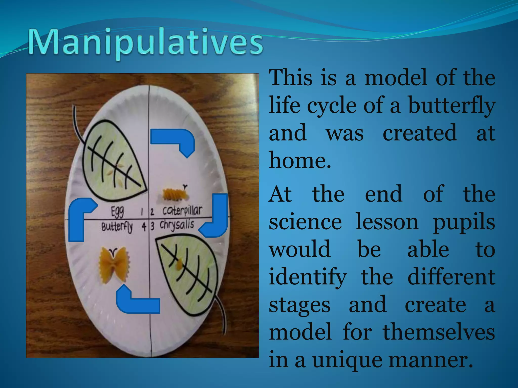 Manipulatives life cycle of a butterfly | PPTX | Science