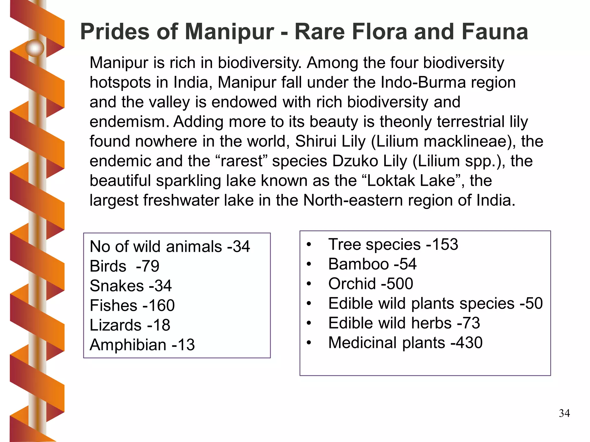 Manipur PPT.pdf | Sikhism | Religion & Spirituality