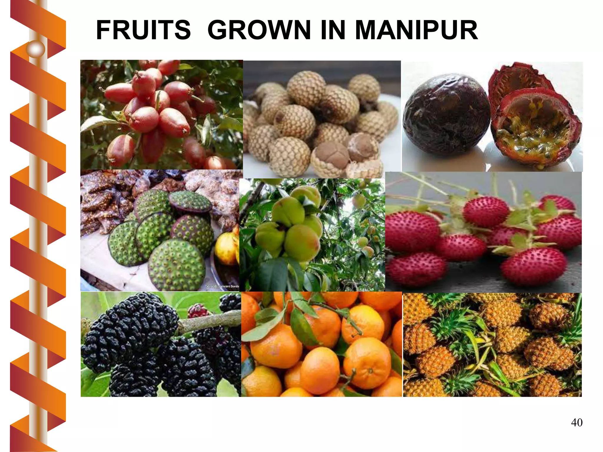 Manipur PPT.pdf