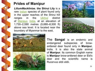 Manipur PPT.pdf
