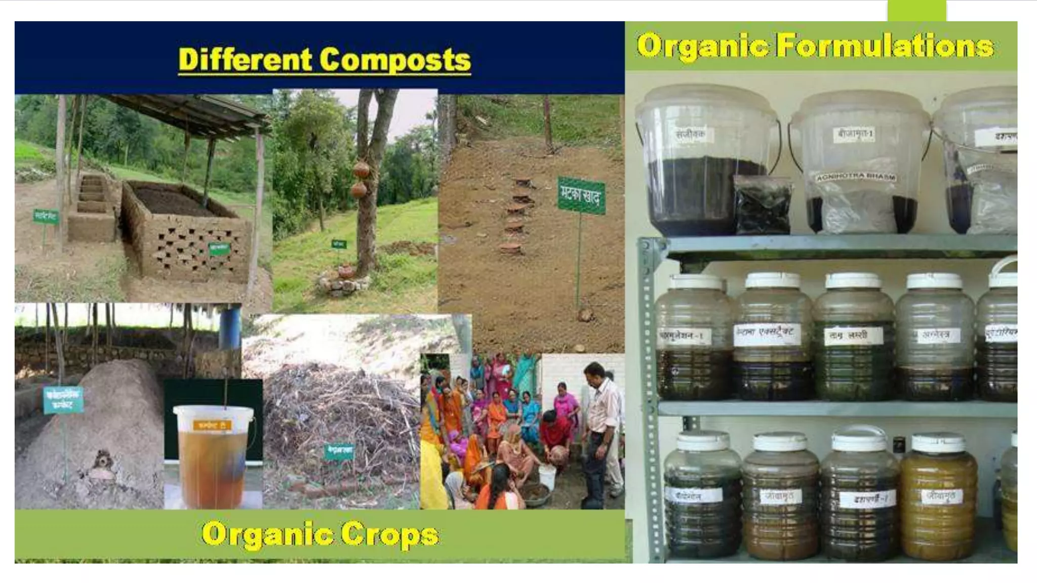 Scope of organic and natural farming of vegetable crops under protected ...