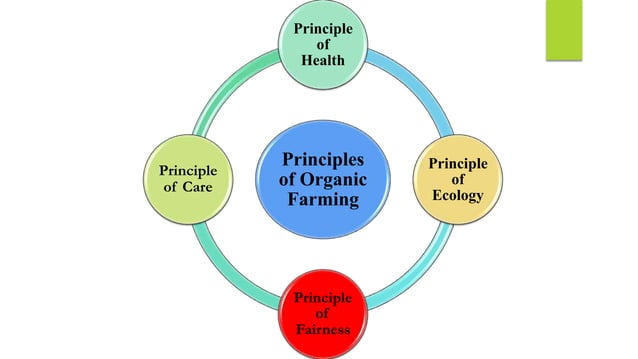 Scope of organic and natural farming of vegetable crops under protected ...