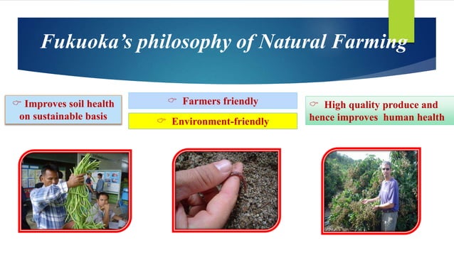 Scope of organic and natural farming of vegetable crops under protected ...