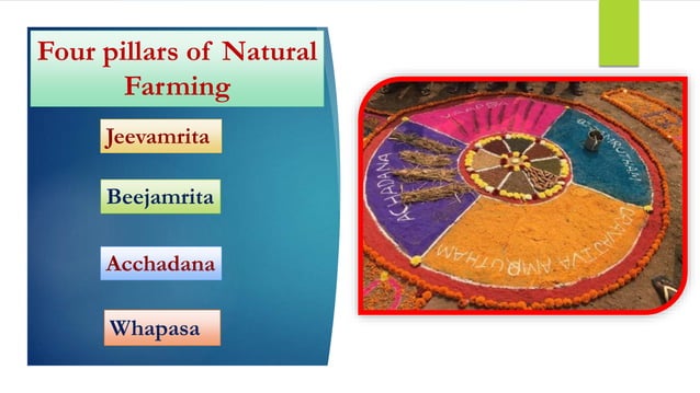 Scope of organic and natural farming of vegetable crops under protected ...