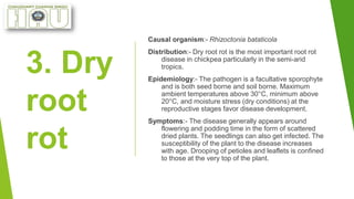 Chickpea diseases by Manisha Yadav | PPTX