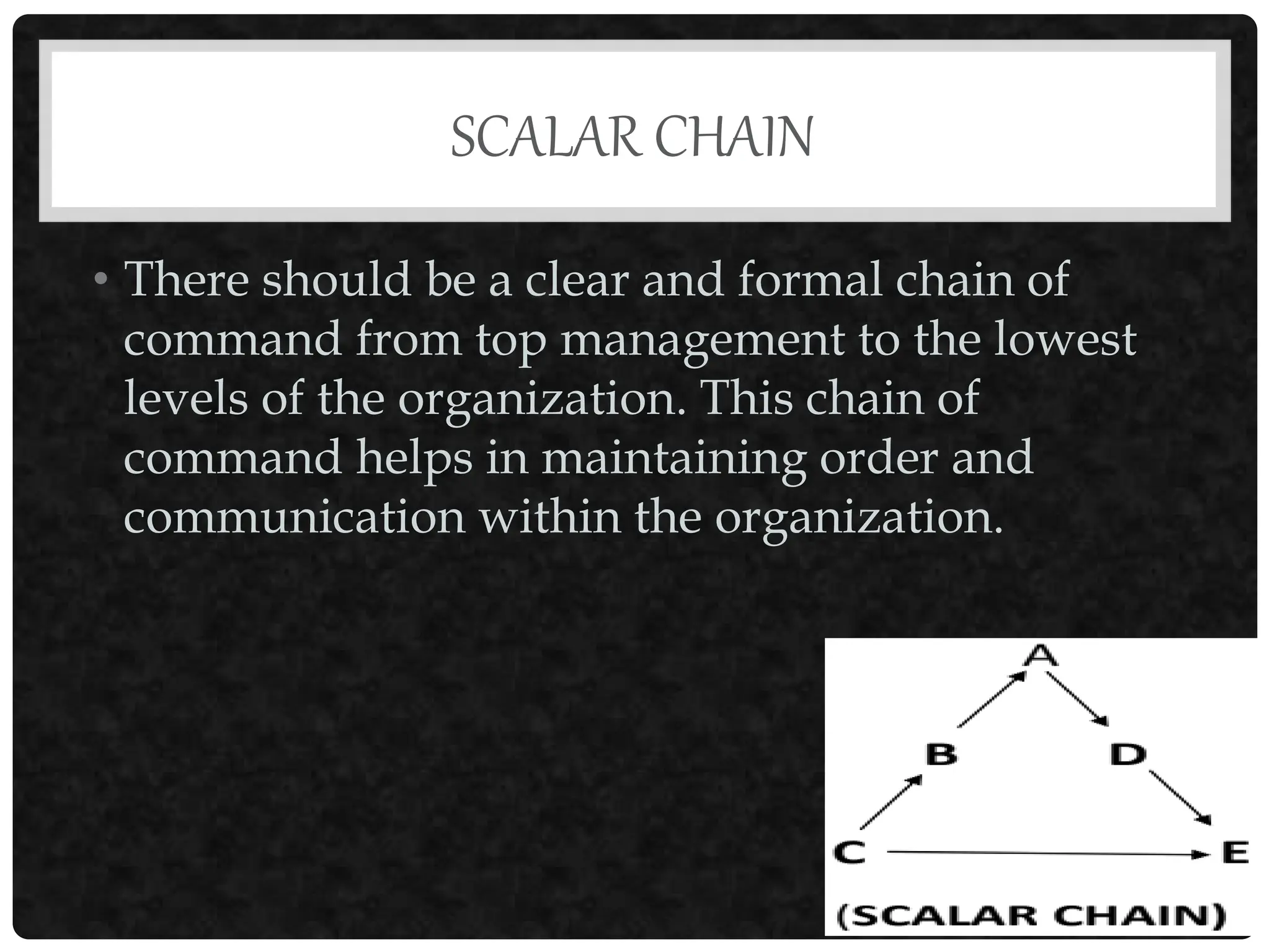 manish agrawal 12 B typography presentation.pptx