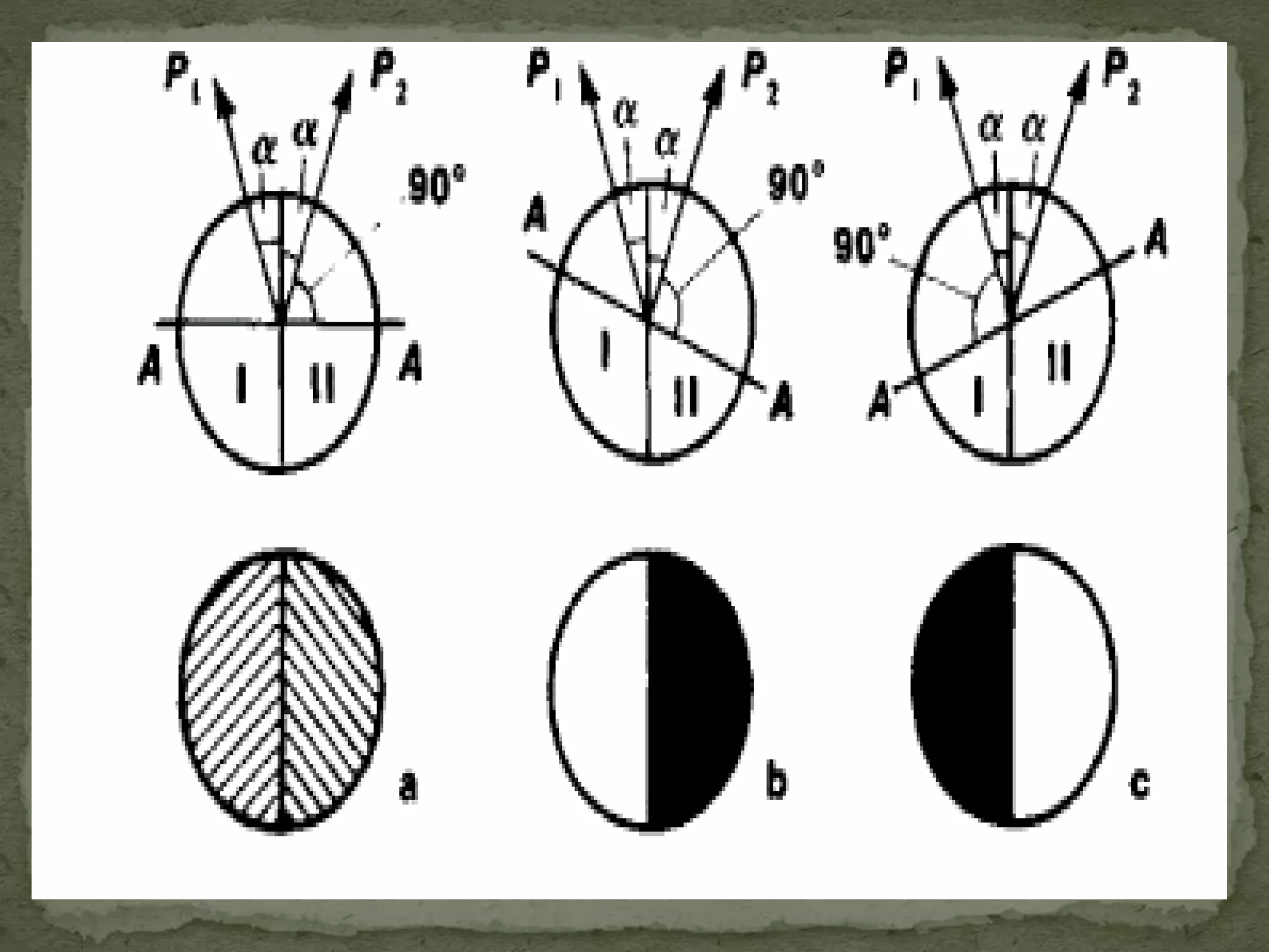 polarization Manisha lovanshi | PPT