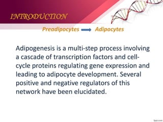 Adipogenesis PPT | PPTX | Endocrine and Metabolic Diseases | Diseases ...