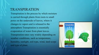 Water cycle - class 8. Pptx ( Monalisa ) | PPTX