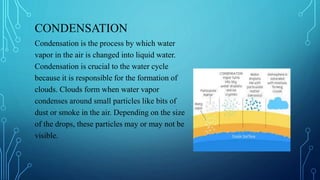 Water cycle - class 8. Pptx ( Monalisa ) | PPTX
