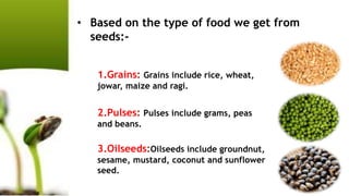 Seed and it's types | PPTX