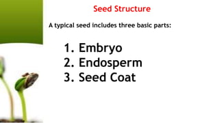 Seed and it's types | PPTX