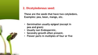 Seed and it's types | PPTX