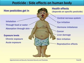 Pesticide Residue Analysis | PPTX