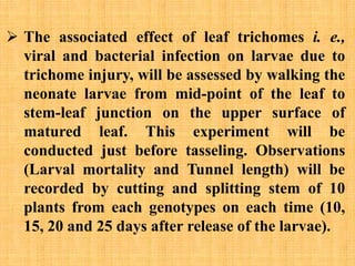 Synopsis Seminar | PPTX