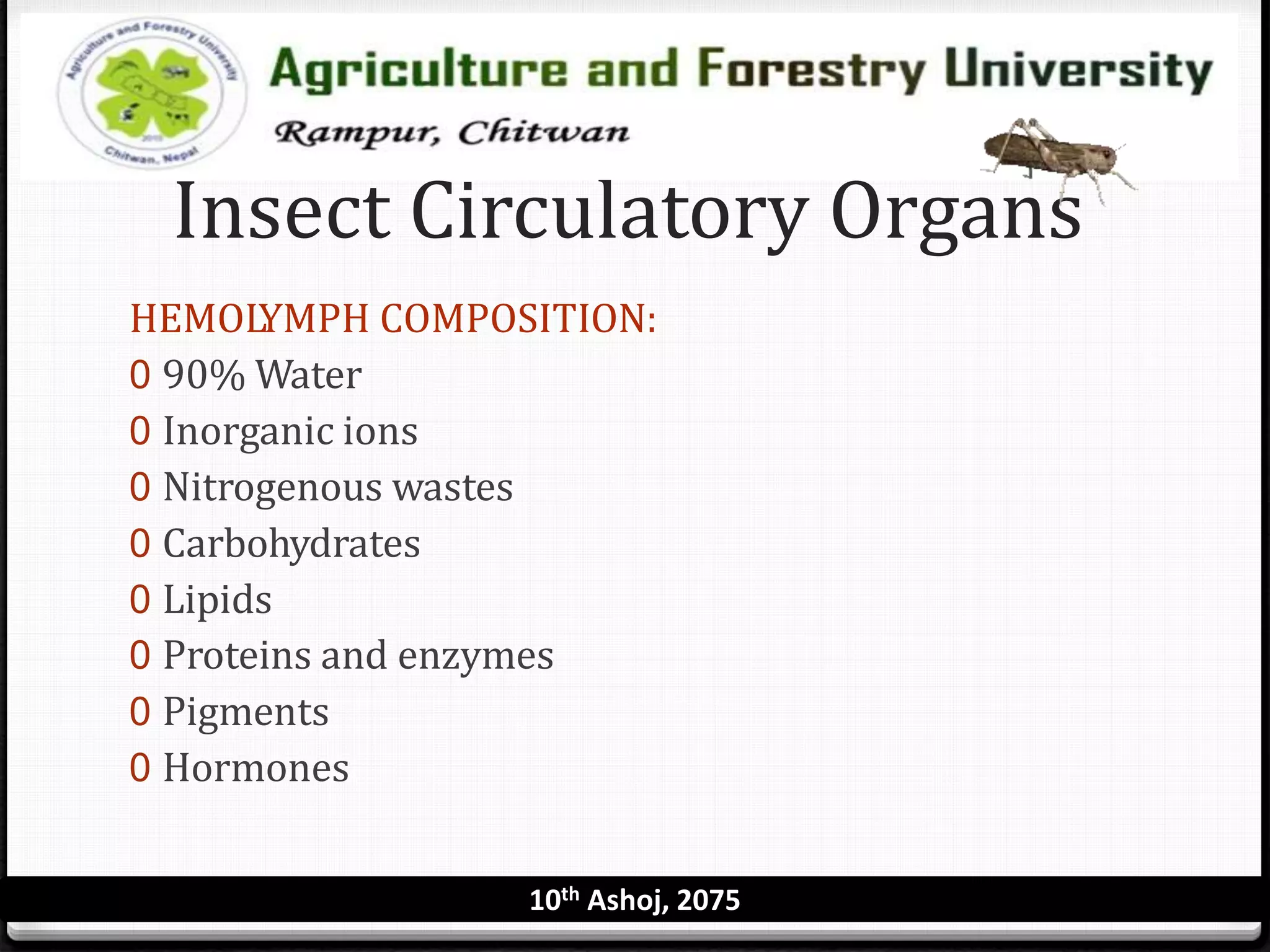 Circulatory system of insects | PPTX