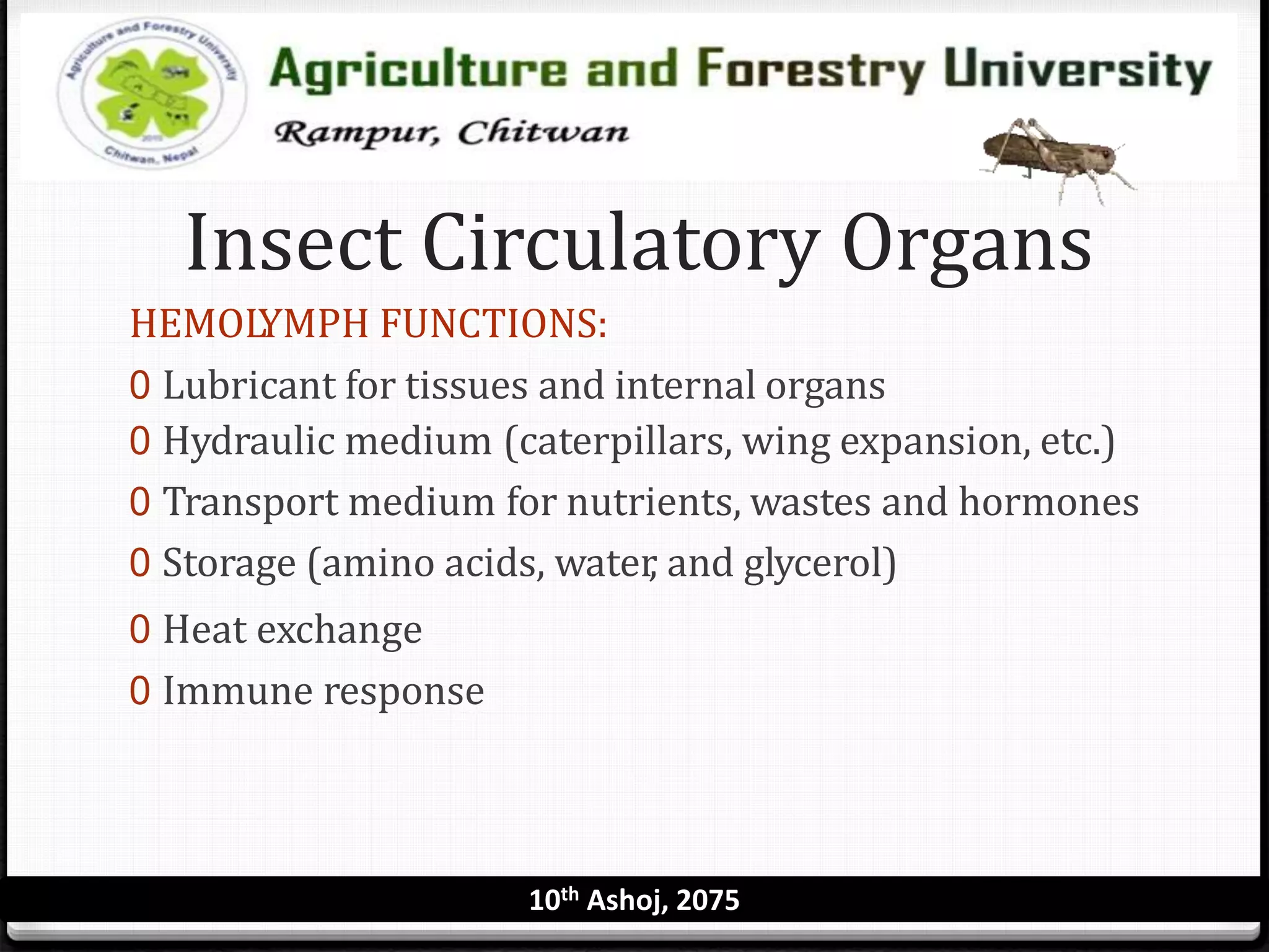 Circulatory system of insects | PPTX