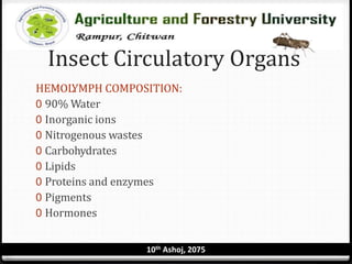 Circulatory system of insects | PPTX