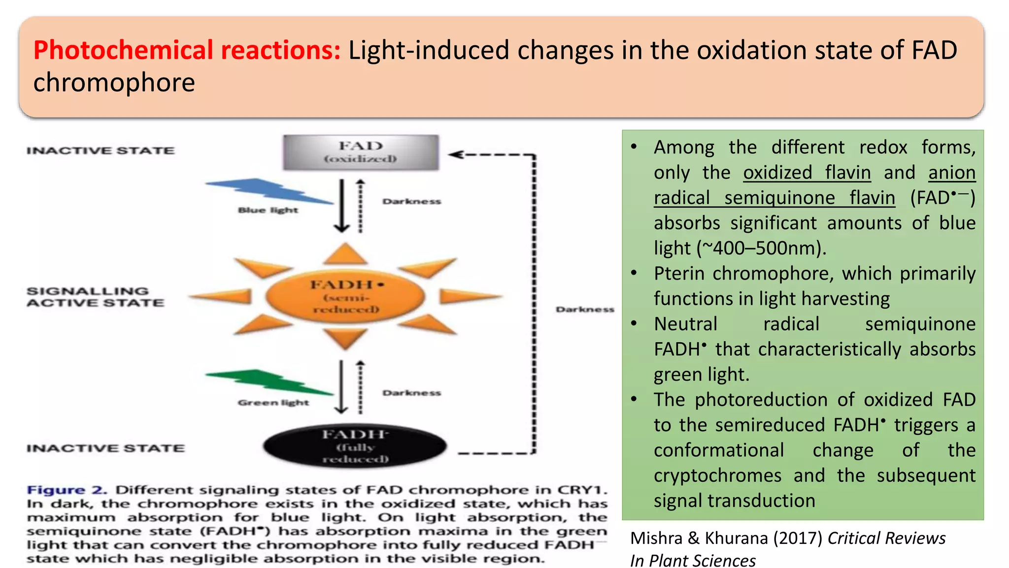 Emerging Roles and New Paradigms in Signaling Mechanisms of Plant ...